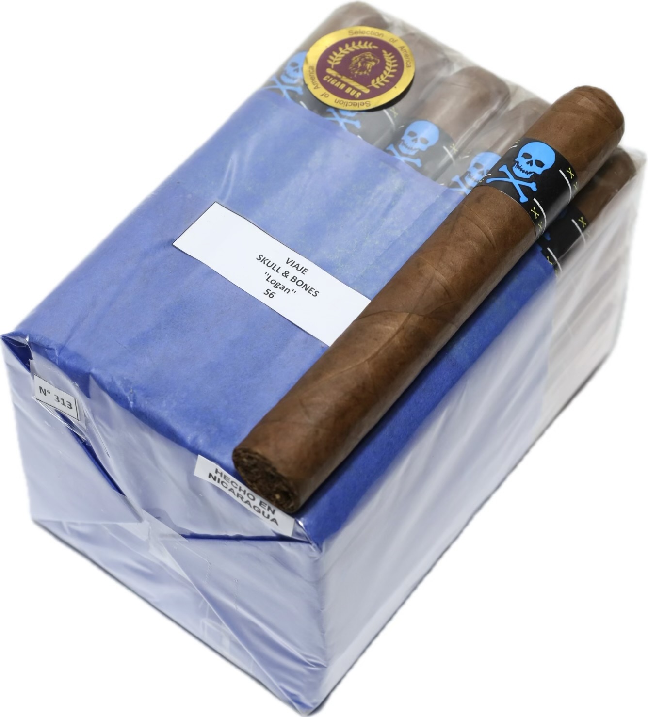 Viaje Skull & Bones Logan,Viaje Skull and Bones